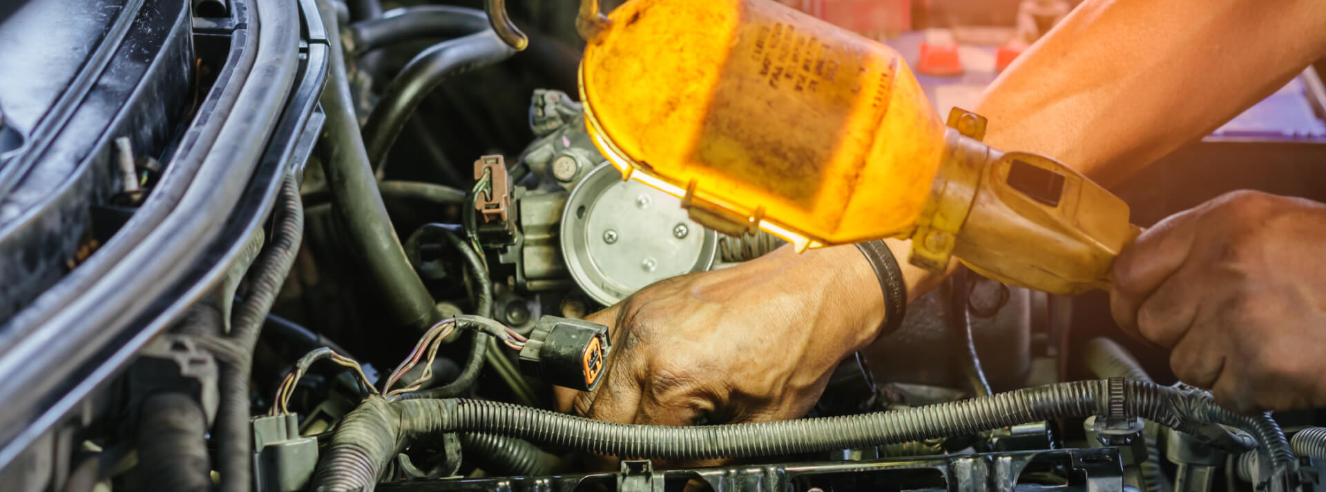 Don’t Check Out. Check It Out.